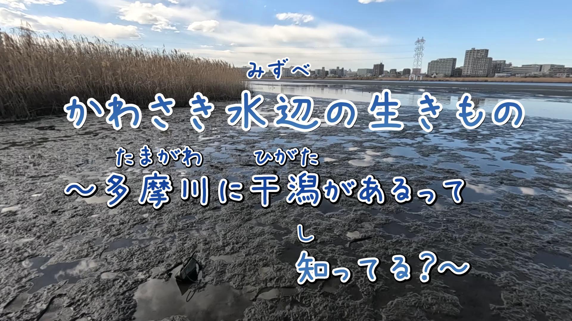 かわさきの環境月刊誌『環境情報』2025(令和7)年4月1日発行 NO.632 | 調べてみよう！川崎の環境のこと【川崎環境ポータルサイト】
